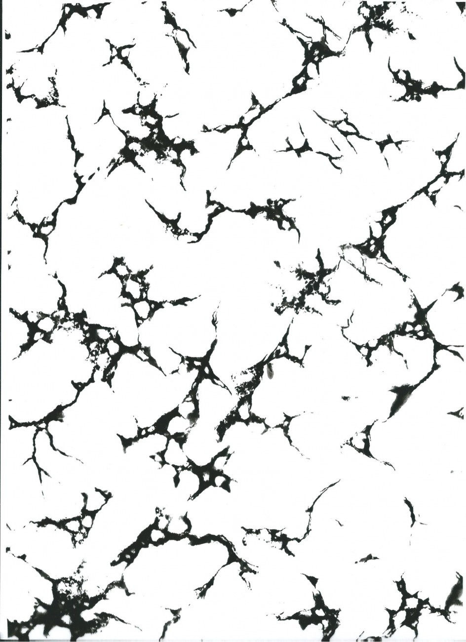 White Marble 90cm wide Hydrographics film.